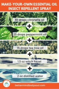 31 Powerful Essential Oil Bug Repellent Recipes For Your Personal Use