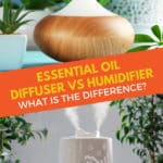 Essential Oil Diffuser vs Humidifier: What Is The Difference?