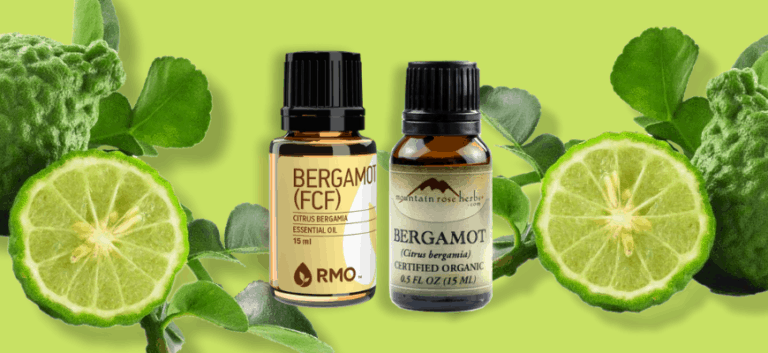 Essential Oils vs Extracts: What’s The Difference?