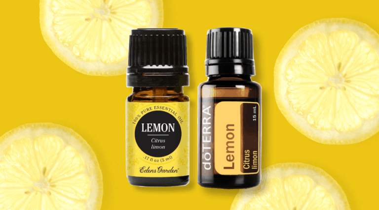 Essential Oils vs Extracts: What’s The Difference?