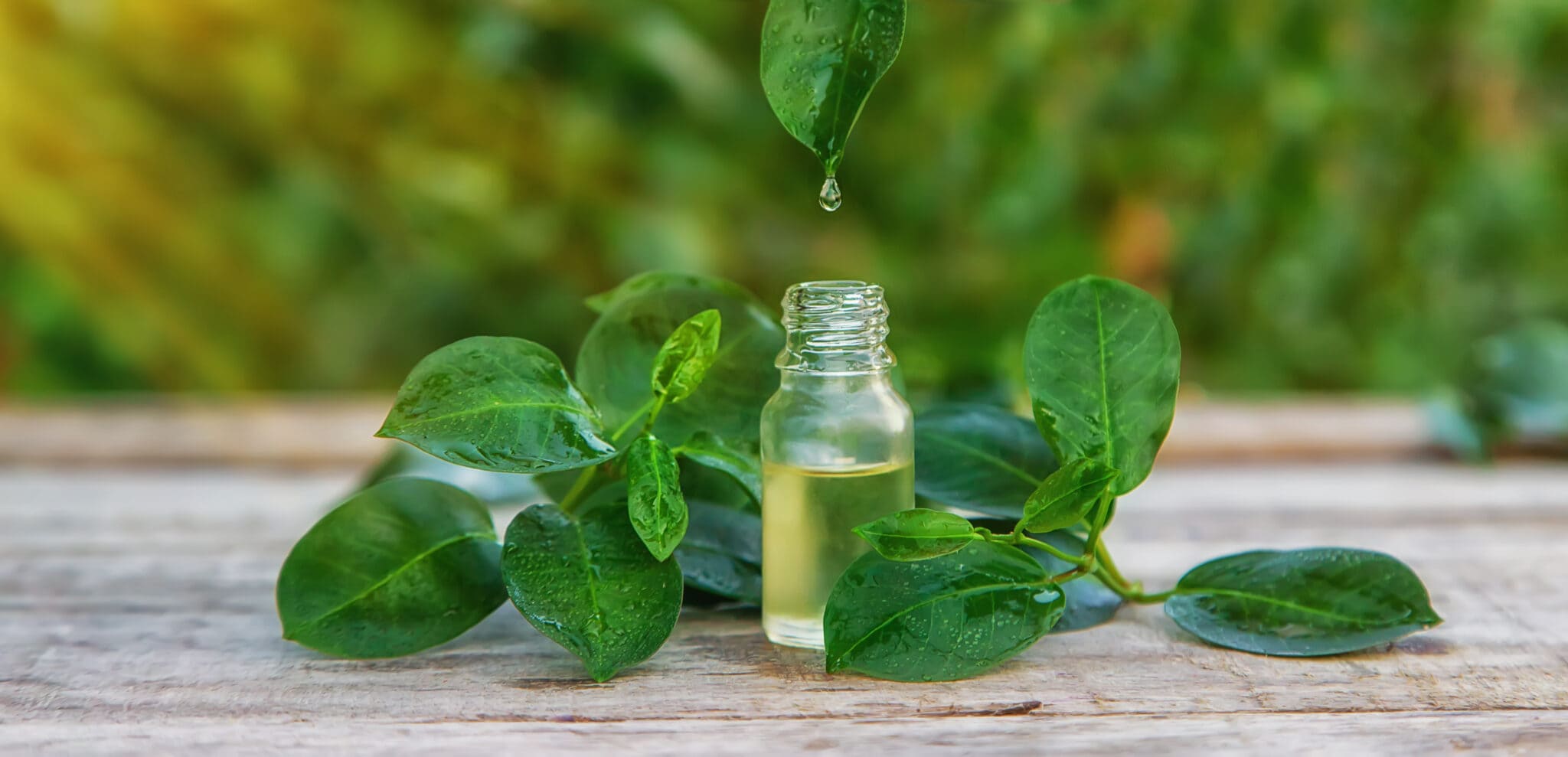 The Best Essential Oils For Eczema and Psoriasis